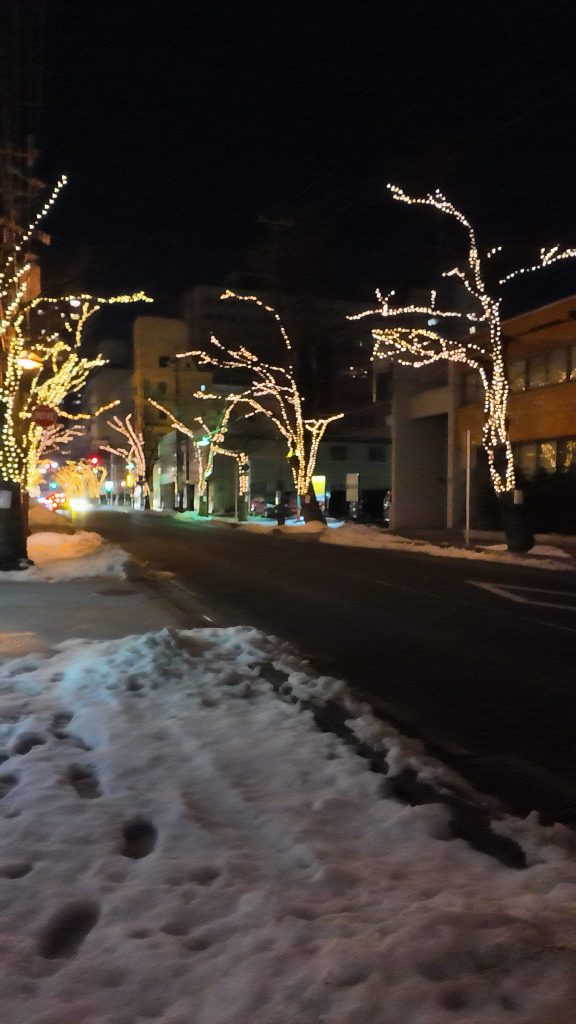 NIIGATA Pageant of Lights 2024-2025 | Shou Plants